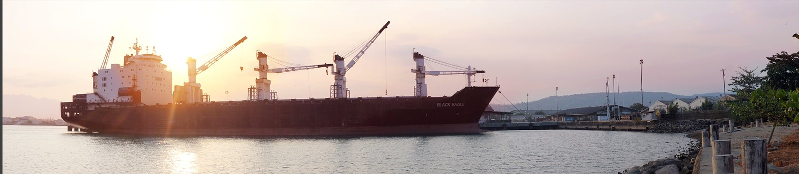 About us - Digital Deep Sea